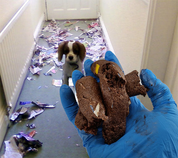 Fake Dog Doo - Junkyard Dog – Liquid ASS - An ASSman approved site!